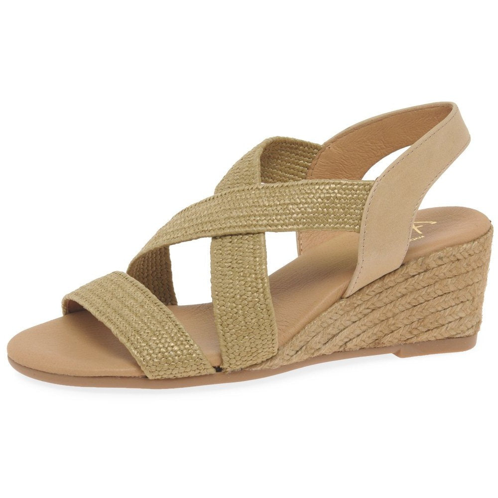 Pinaz 548 Wedge – Baehr Feet Shoe Boutique